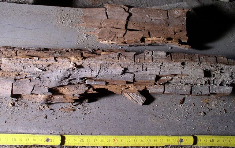 How to Spot and Repair a Rotten Window Frame